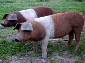 10 More Fascinating Facts About Denmark - Visit Denmark.net