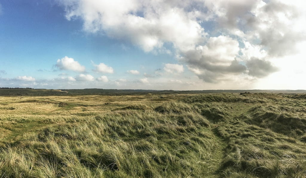 Top 6 Hiking in Denmark Trails & Walks - visit Denmark.net